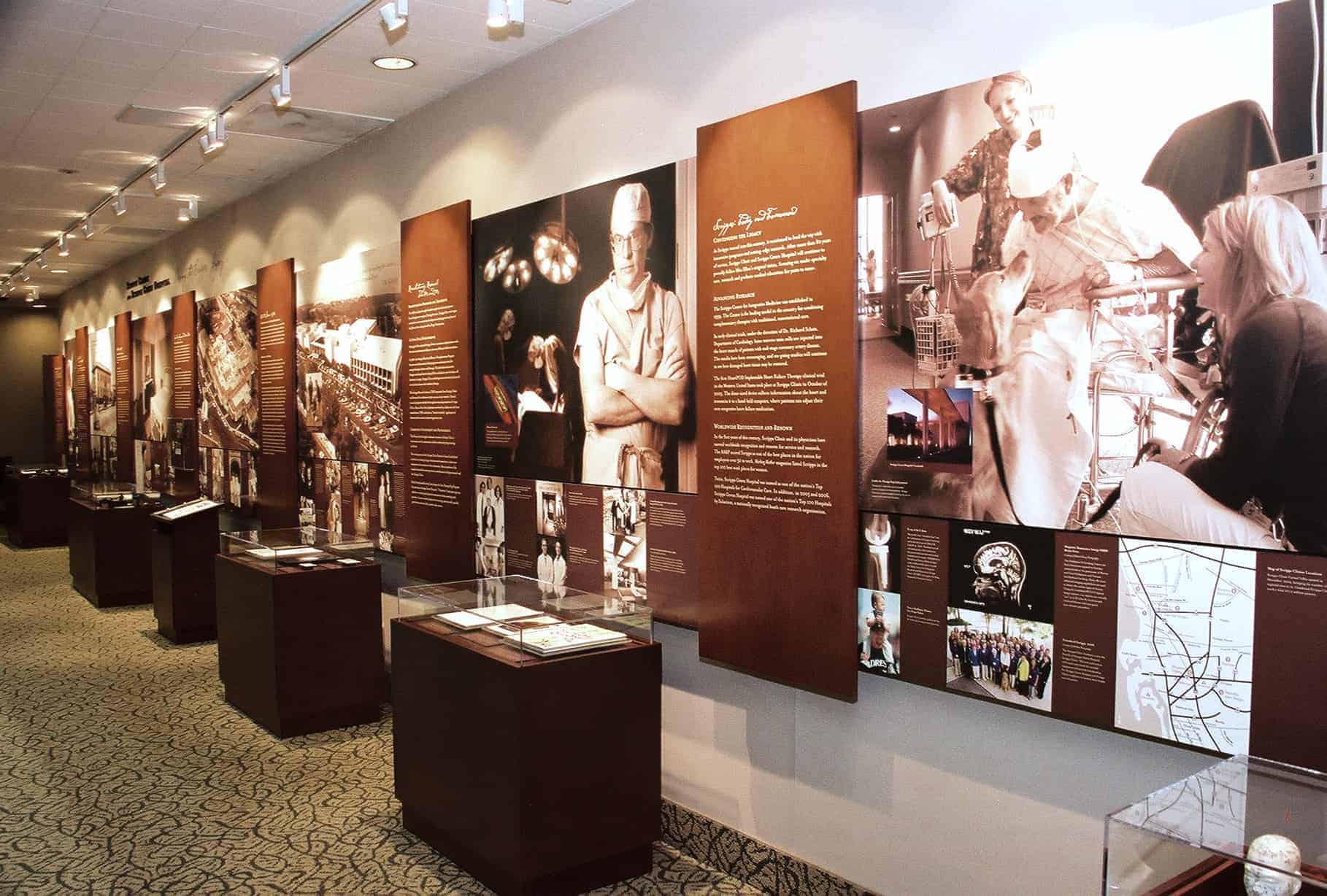 Museum Display Timeline